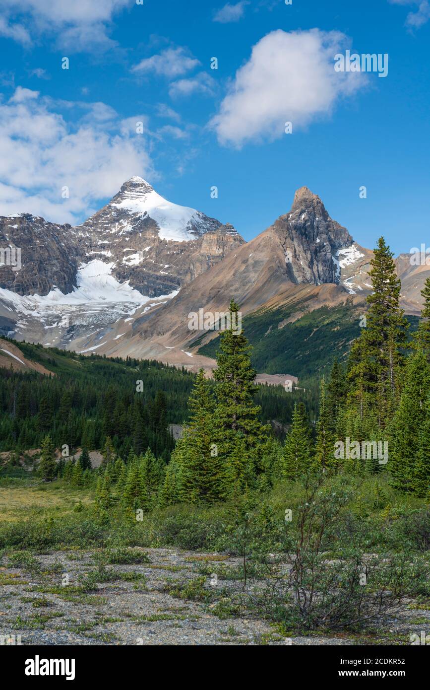Parker Ridge, Icefields Parkway, Banff National Park, Alberta, Canada ...