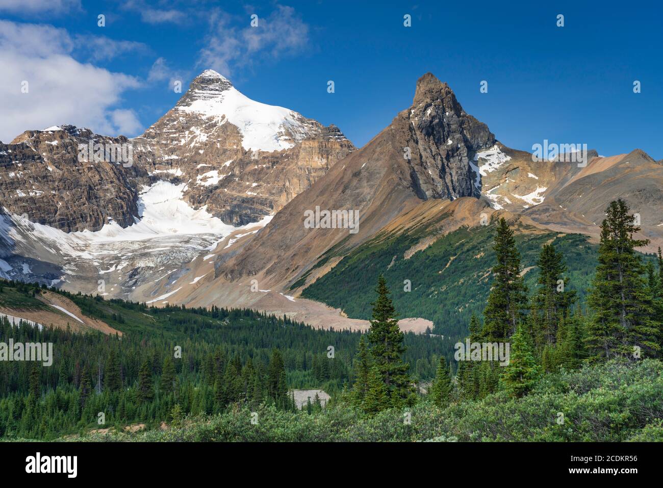Parker Ridge, Icefields Parkway, Banff National Park, Alberta, Canada ...