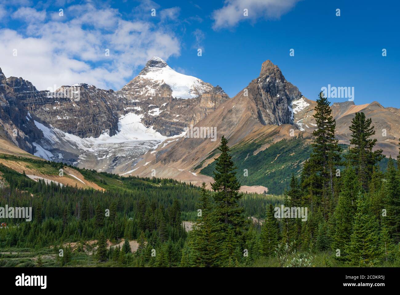 Parker Ridge, Icefields Parkway, Banff National Park, Alberta, Canada ...