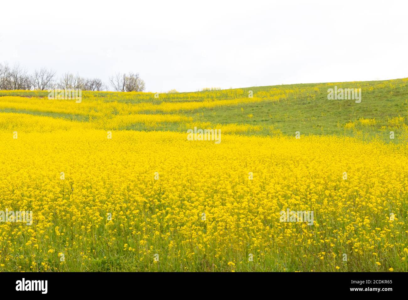 Pennsylvania Landscape High Resolution Stock Photography and Images - Alamy