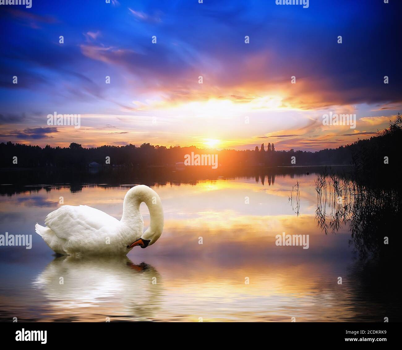 Resting wallpaper hi-res stock photography and images - Alamy