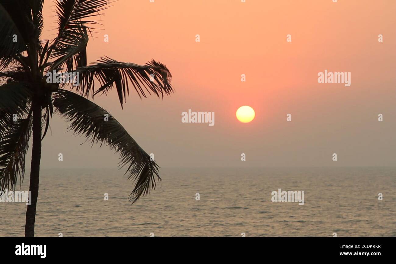 Palm Trees Silhouette At Sunset Stock Photo - Alamy