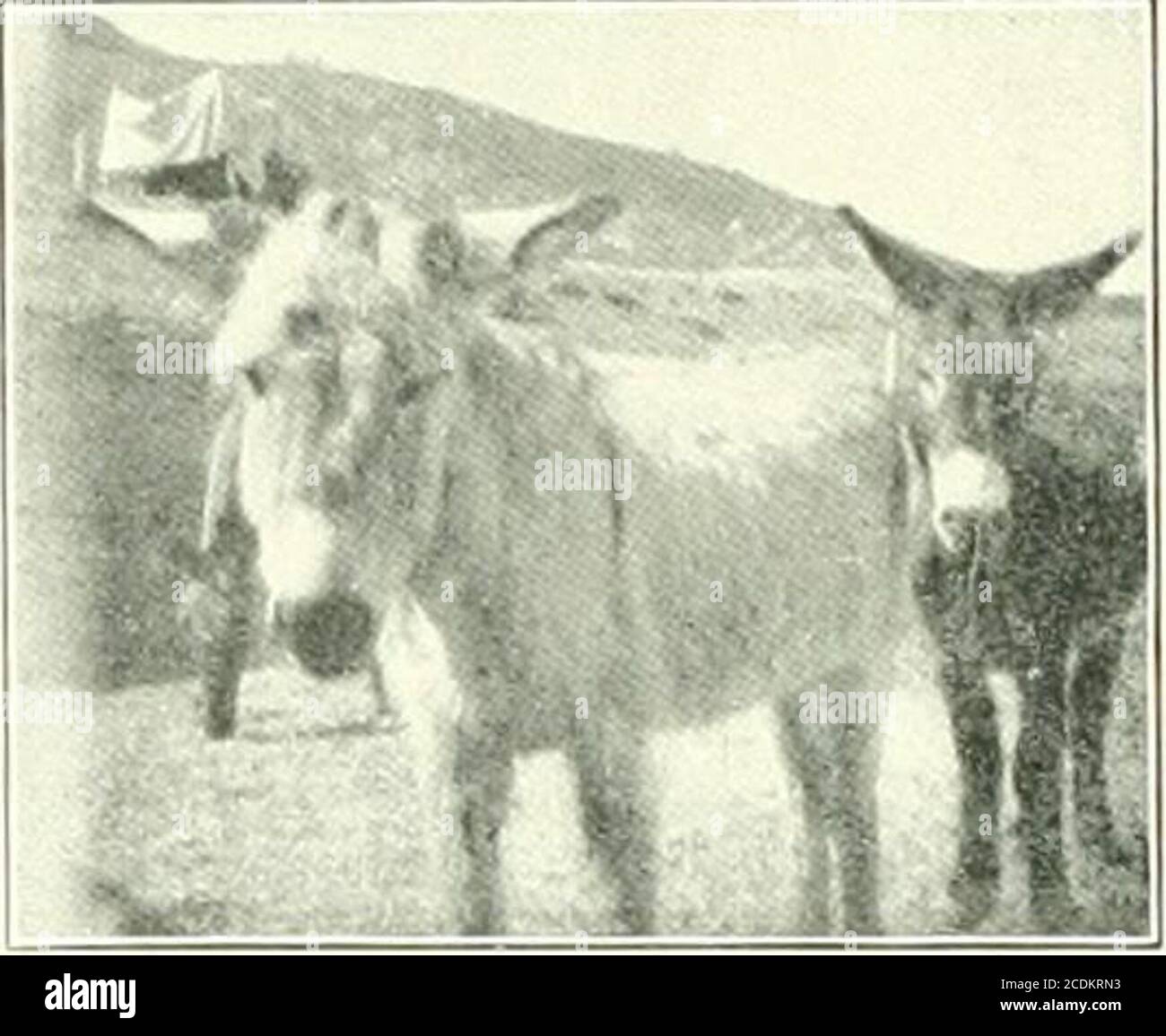 George ralphs hi-res stock photography and images - Alamy