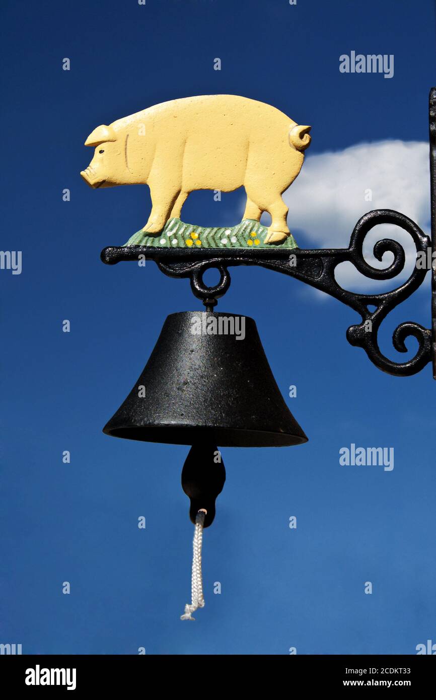 Bell animals hi-res stock photography and images - Alamy