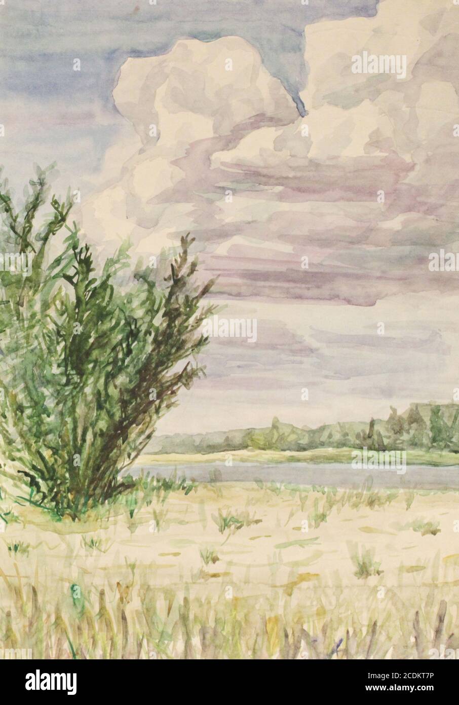 Drawing Green Bush Stock Photo - Alamy