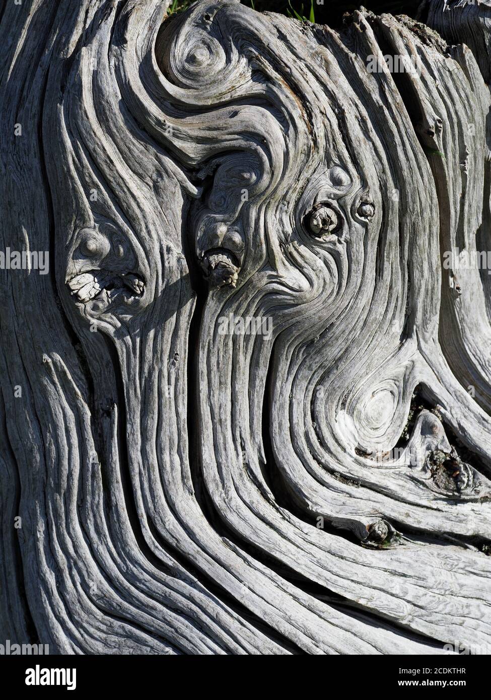 Grainy loop hi-res stock photography and images - Alamy