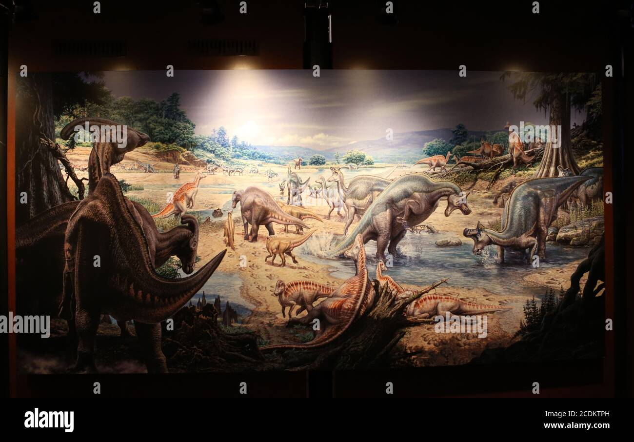 the Museum's dinosaurs are world - famous . Meet the roaring T.rex ...