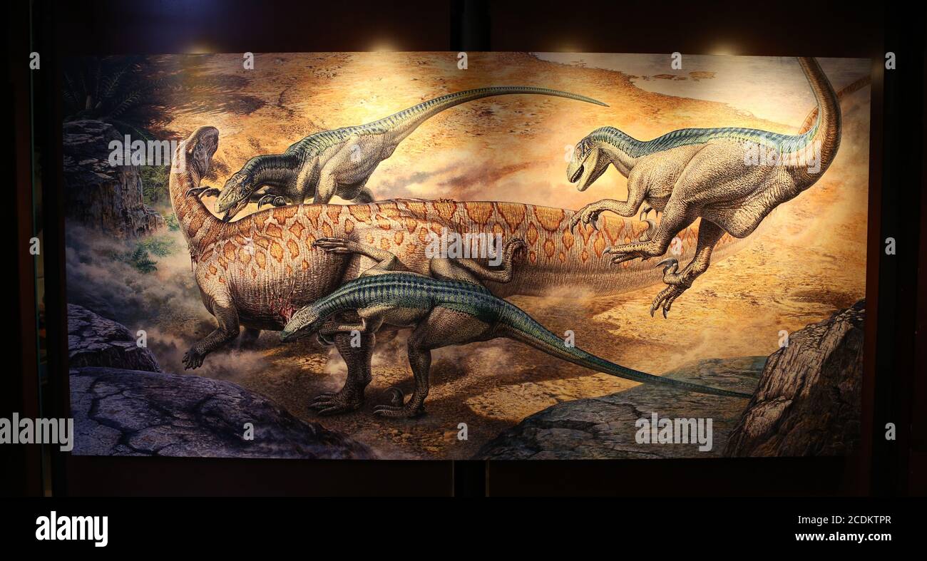 the Museum's dinosaurs are world - famous . Meet the roaring T.rex ...