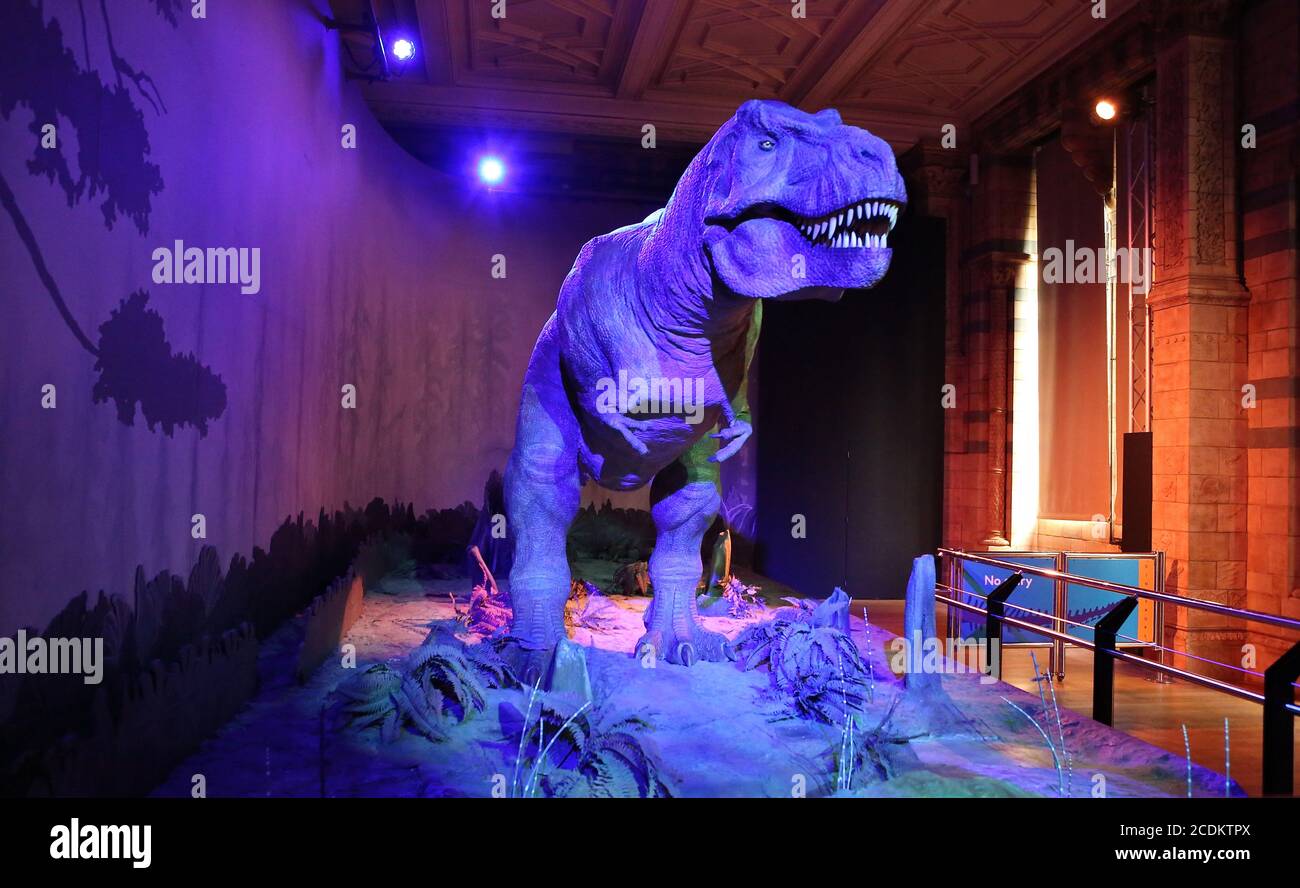 the Museum's dinosaurs are world - famous . Meet the roaring T.rex ...