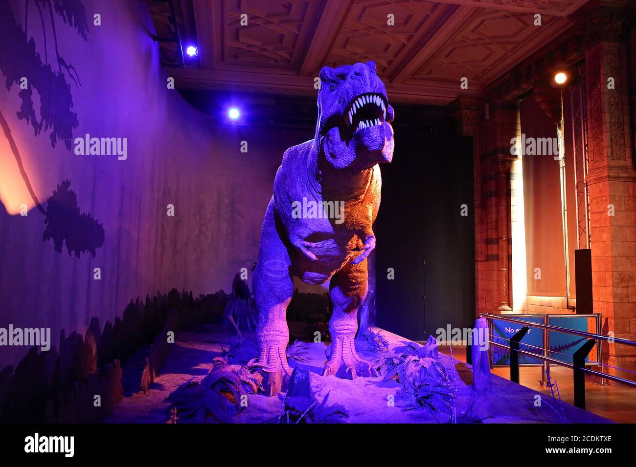 the Museum's dinosaurs are world - famous . Meet the roaring T.rex ...
