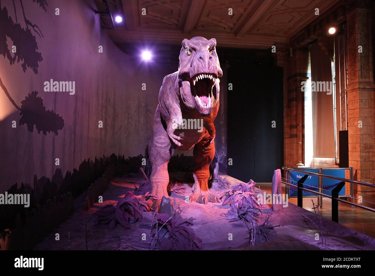 the Museum's dinosaurs are world - famous . Meet the roaring T.rex ...
