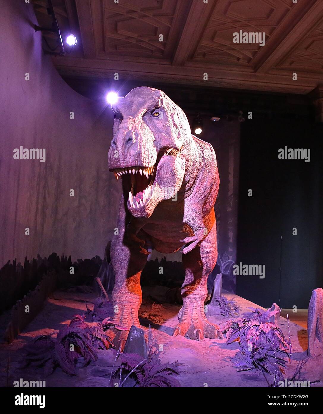 the Museum's dinosaurs are world - famous . Meet the roaring T.rex ...