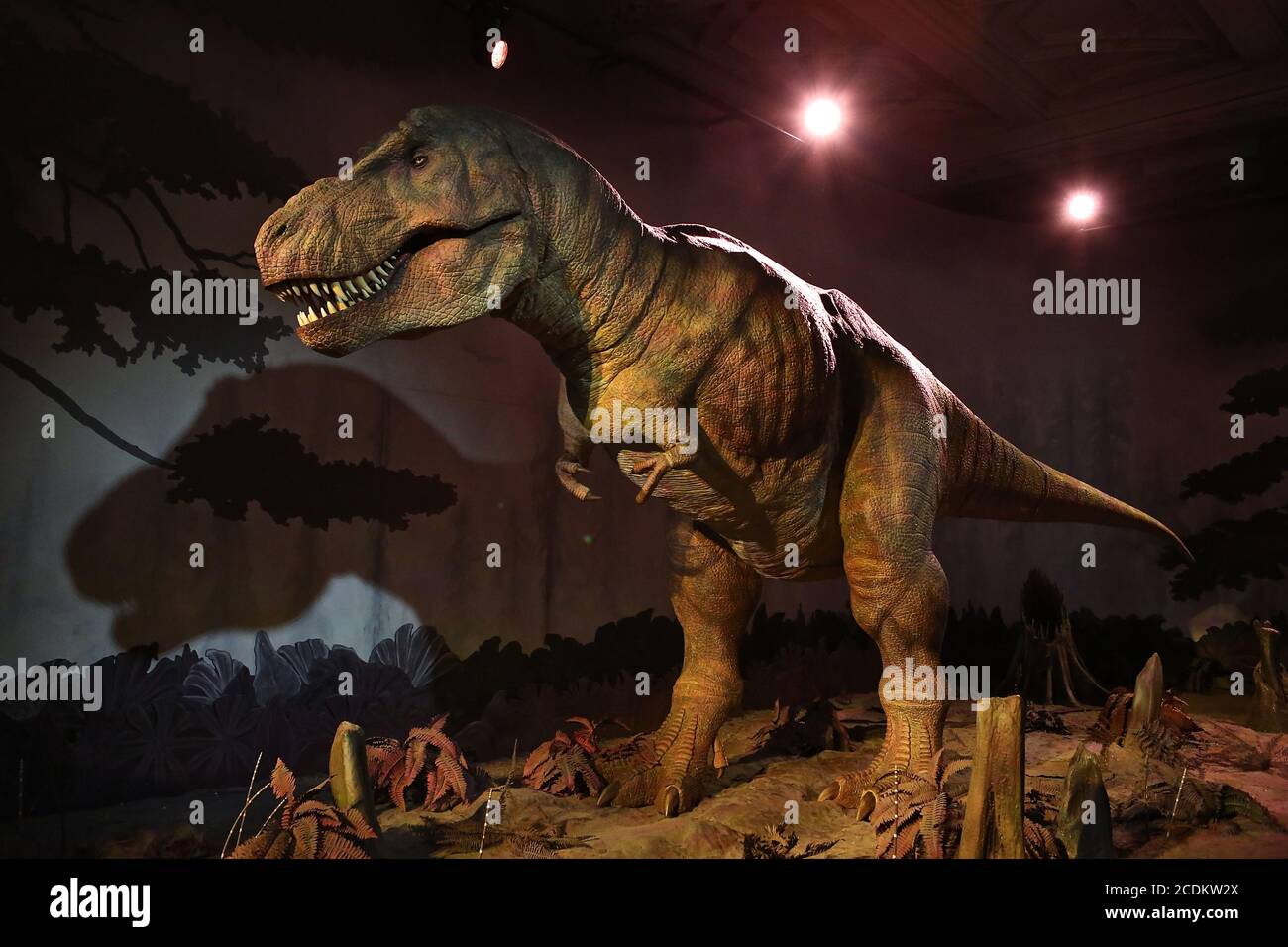 the Museum's dinosaurs are world - famous . Meet the roaring T.rex ...