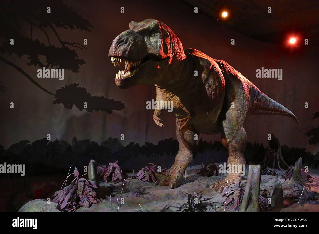 the Museum's dinosaurs are world - famous . Meet the roaring T.rex ...