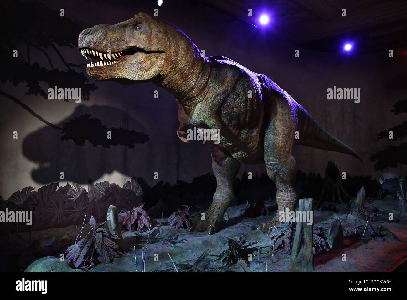 the Museum's dinosaurs are world - famous . Meet the roaring T.rex ...
