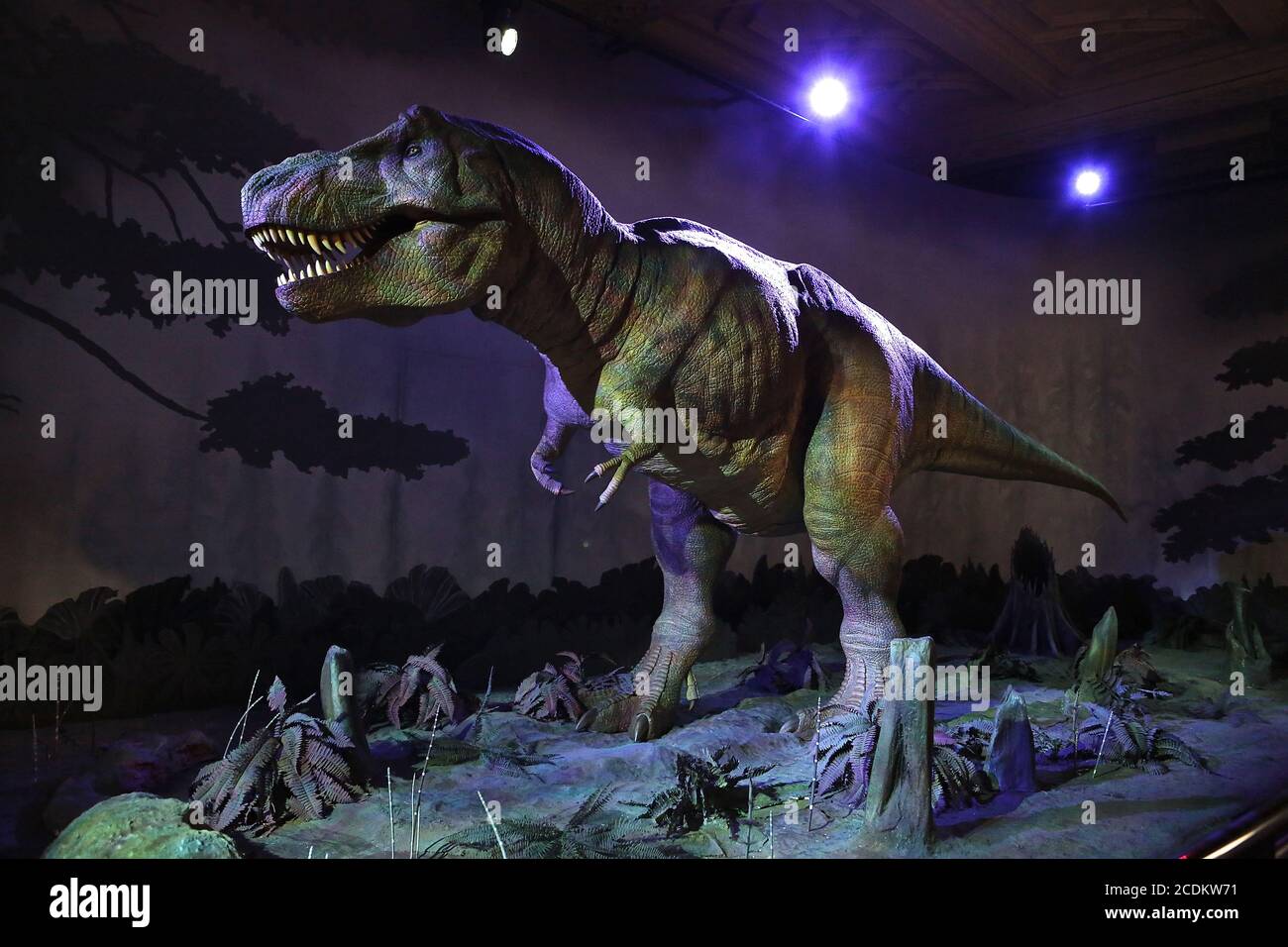 the Museum's dinosaurs are world - famous . Meet the roaring T.rex ...