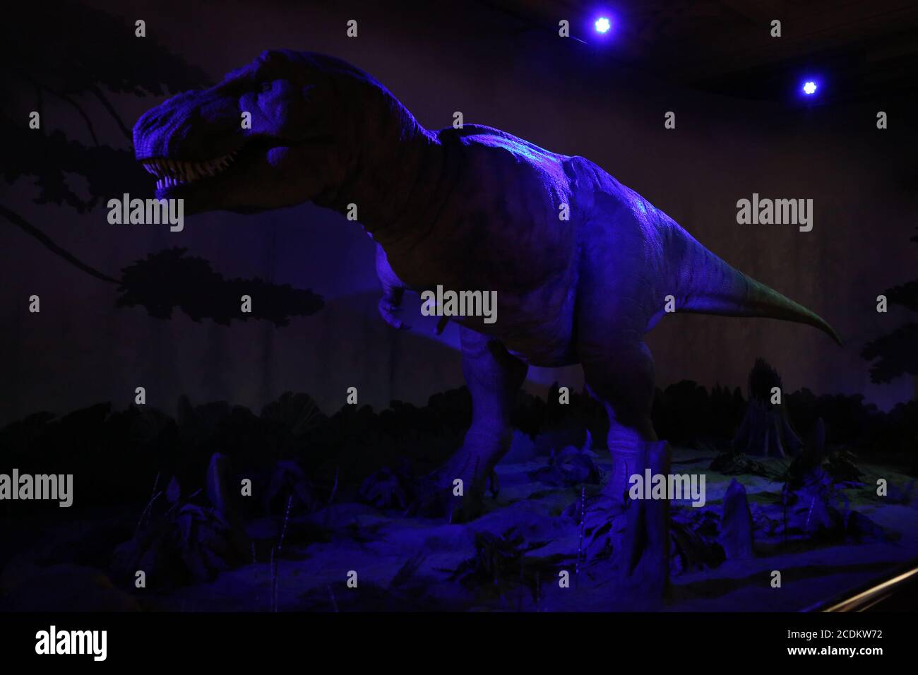 the Museum's dinosaurs are world - famous . Meet the roaring T.rex ...