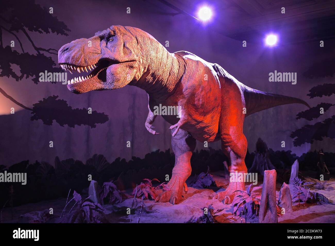 the Museum's dinosaurs are world - famous . Meet the roaring T.rex ...