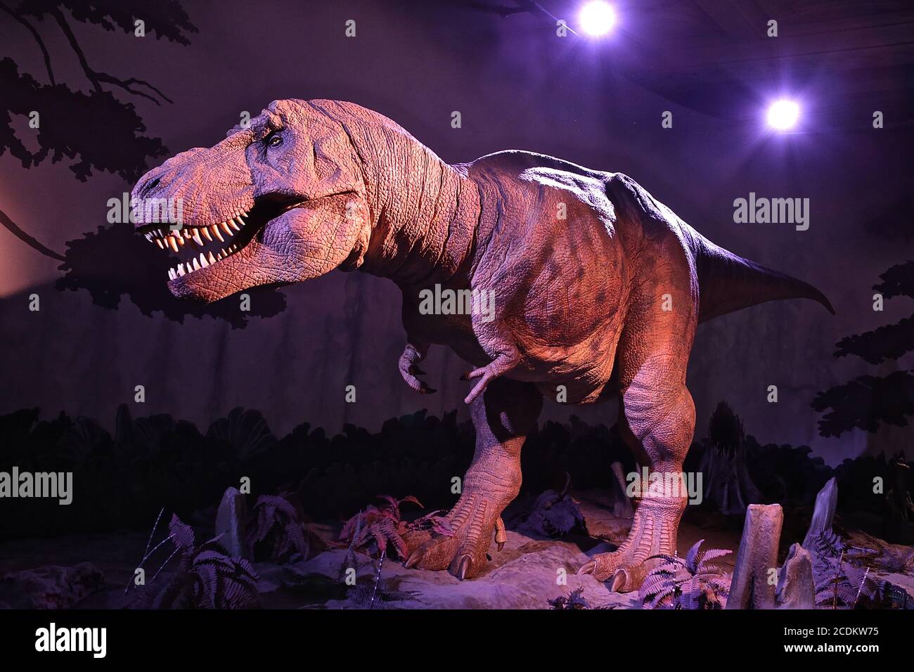 the Museum's dinosaurs are world - famous . Meet the roaring T.rex ...