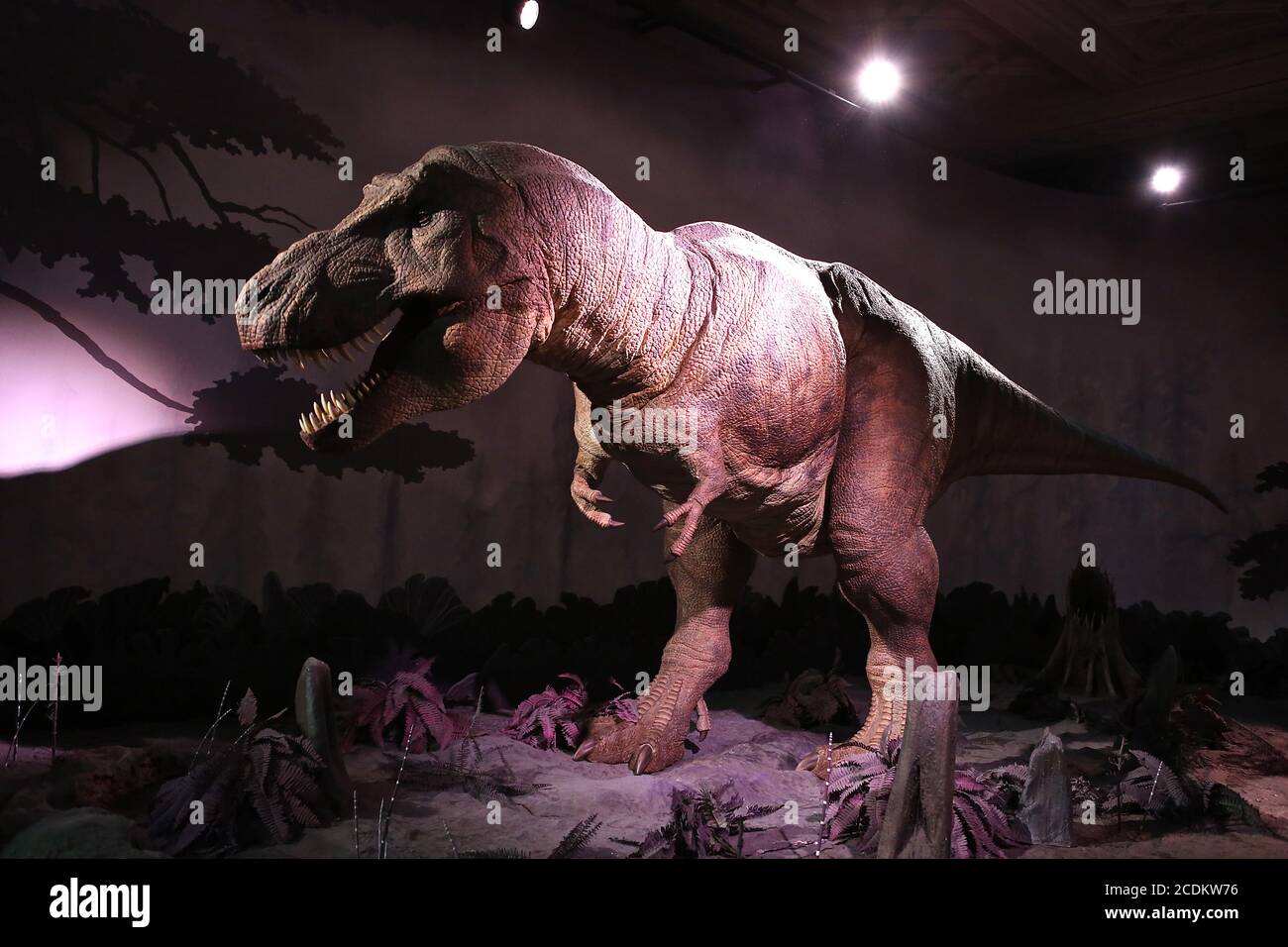 the Museum's dinosaurs are world - famous . Meet the roaring T.rex ...