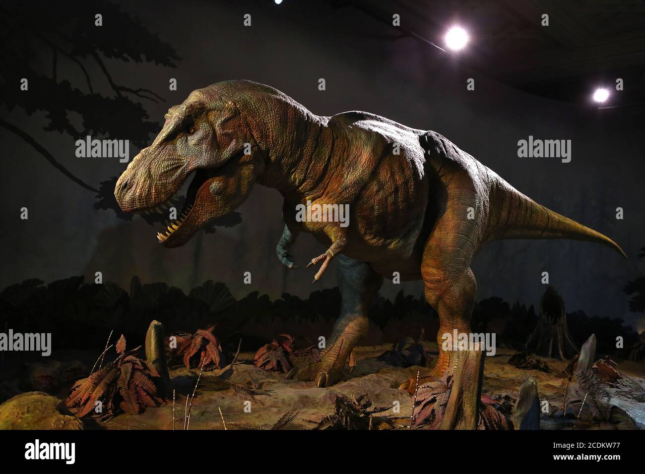 the Museum's dinosaurs are world - famous . Meet the roaring T.rex ...