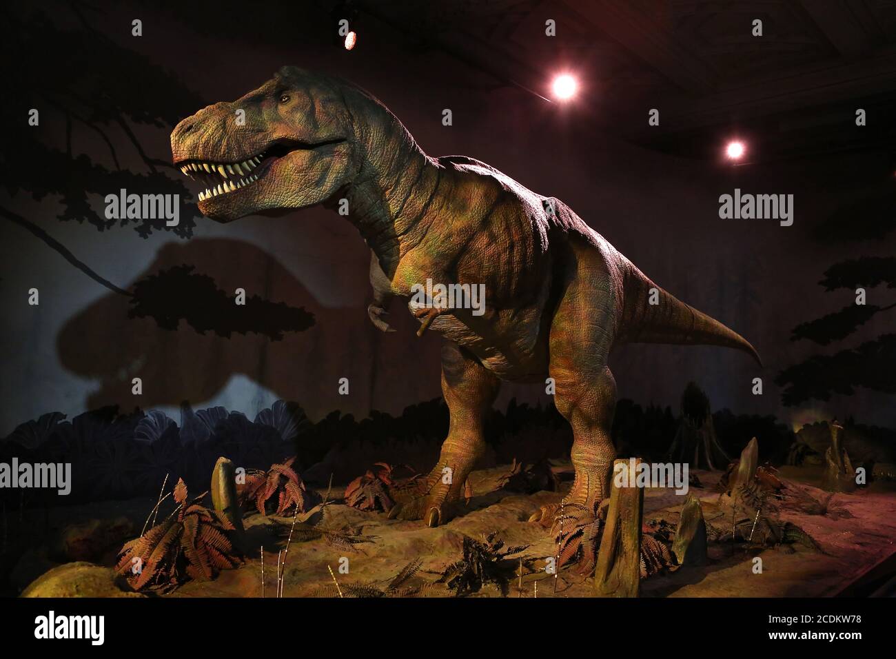 the Museum's dinosaurs are world - famous . Meet the roaring T.rex ...