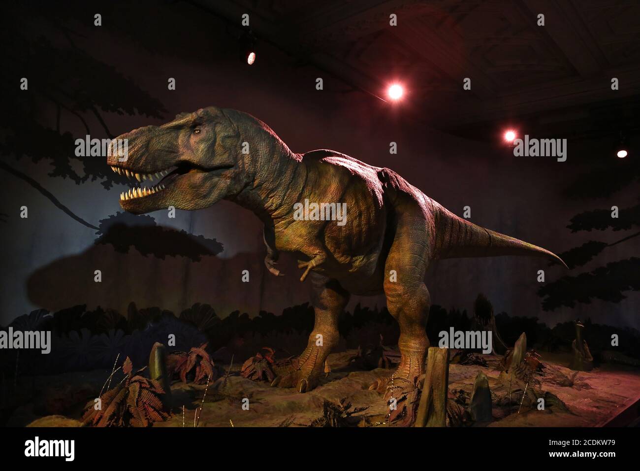 the Museum's dinosaurs are world - famous . Meet the roaring T.rex ...
