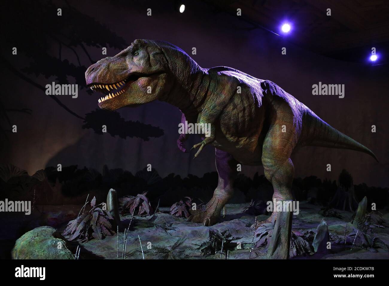 the Museum's dinosaurs are world - famous . Meet the roaring T.rex ...
