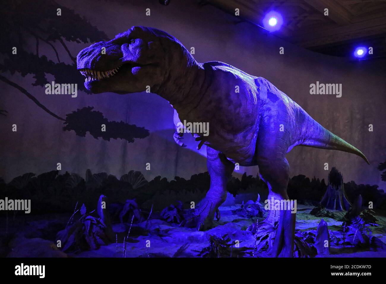 the Museum's dinosaurs are world - famous . Meet the roaring T.rex ...