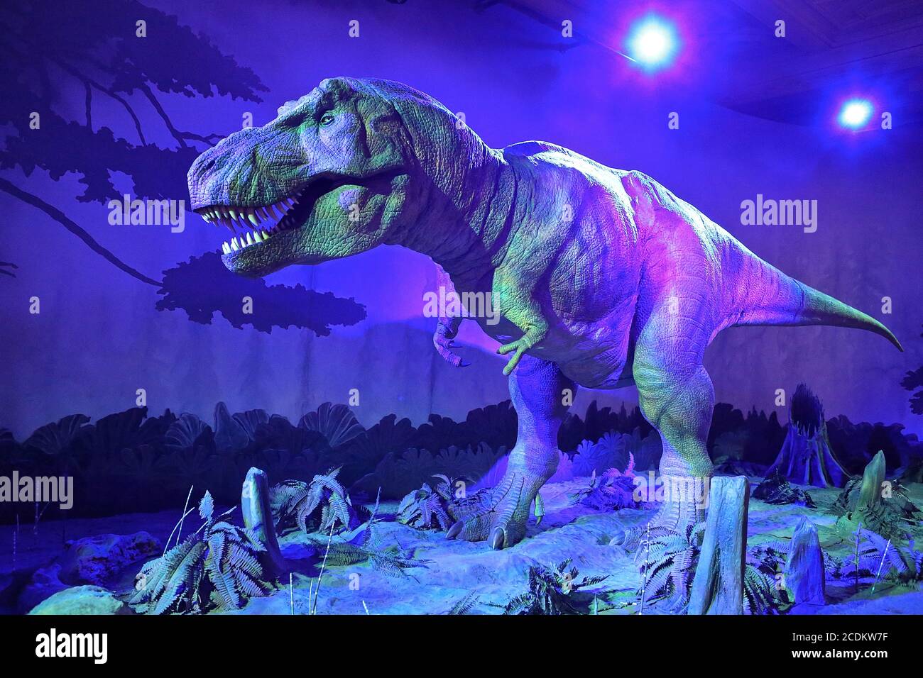 the Museum's dinosaurs are world - famous . Meet the roaring T.rex ...