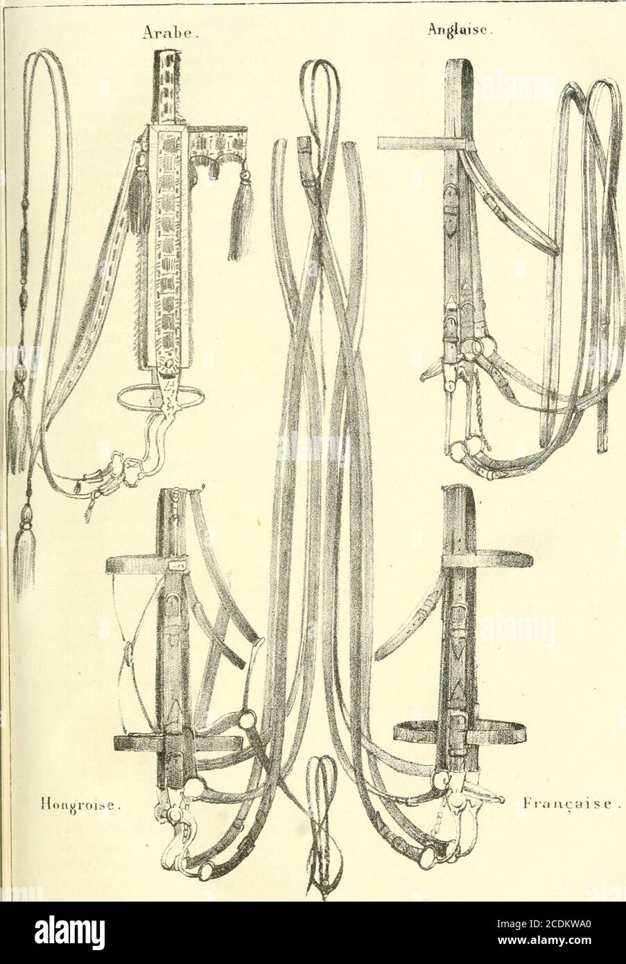 Position de cheval hi-res stock photography and images - Alamy