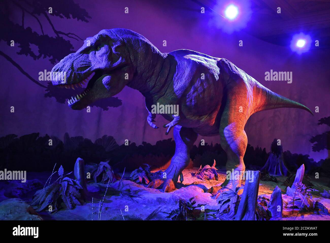 First Dinosaur On Earth