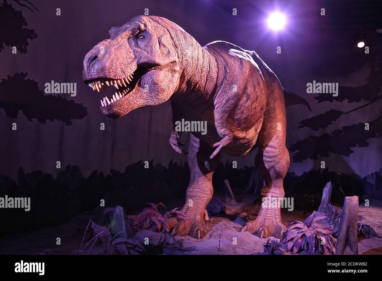 the Museum's dinosaurs are world - famous . Meet the roaring T.rex ...