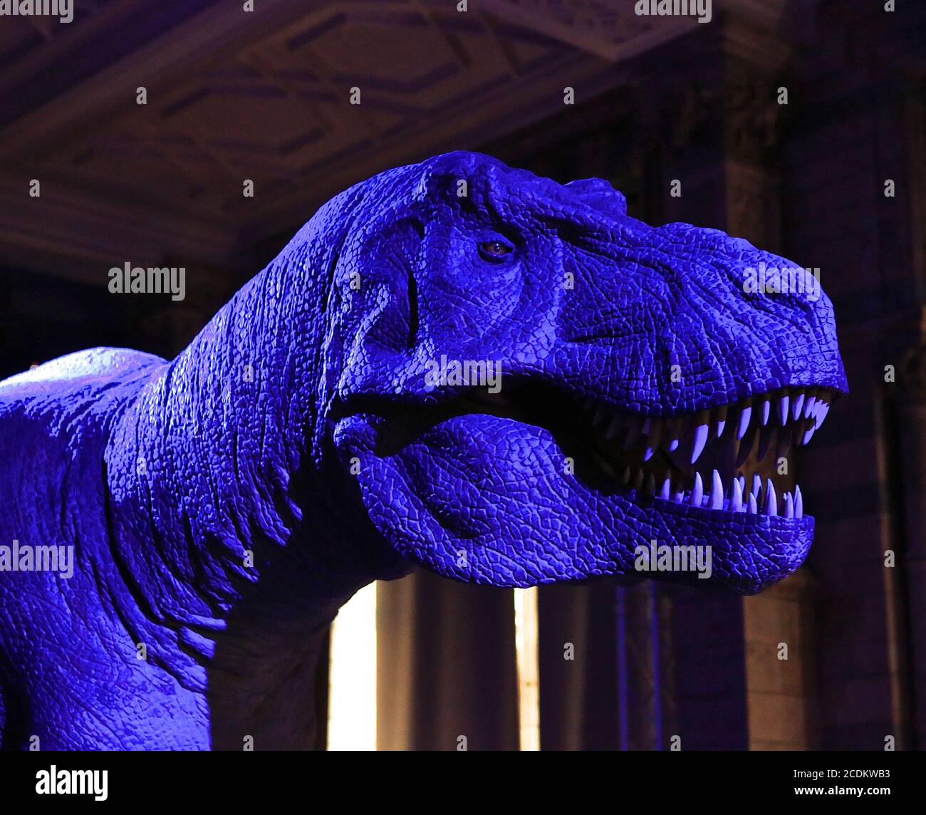 the Museum's dinosaurs are world - famous . Meet the roaring T.rex ...