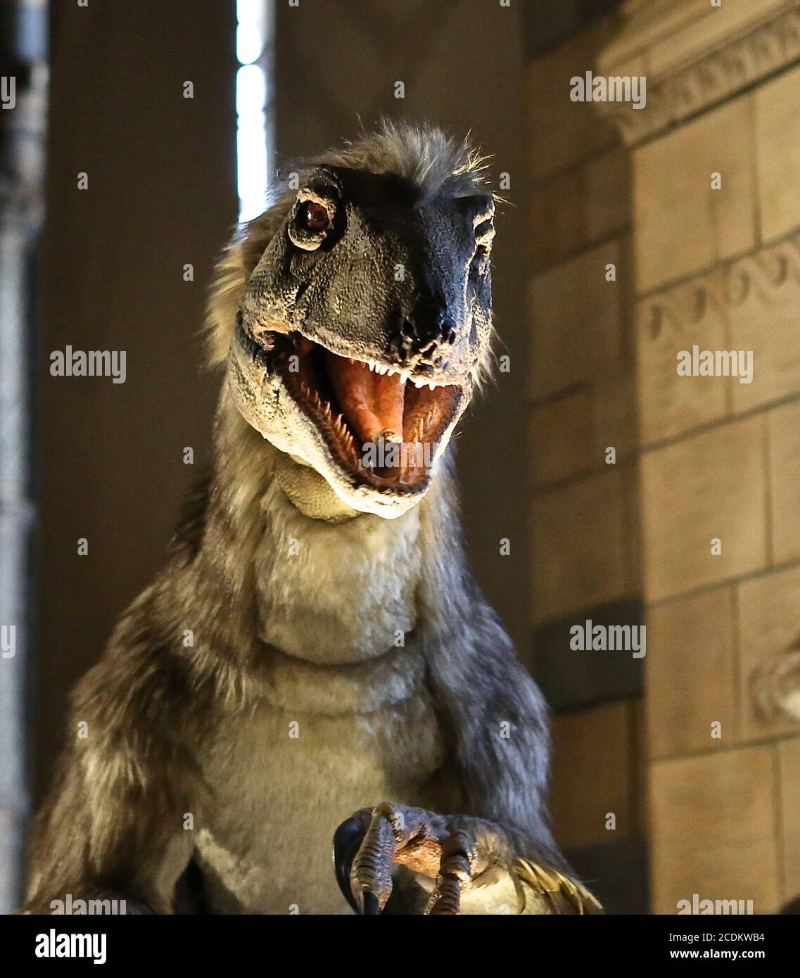 the Museum's dinosaurs are world - famous . Meet the roaring T.rex ...