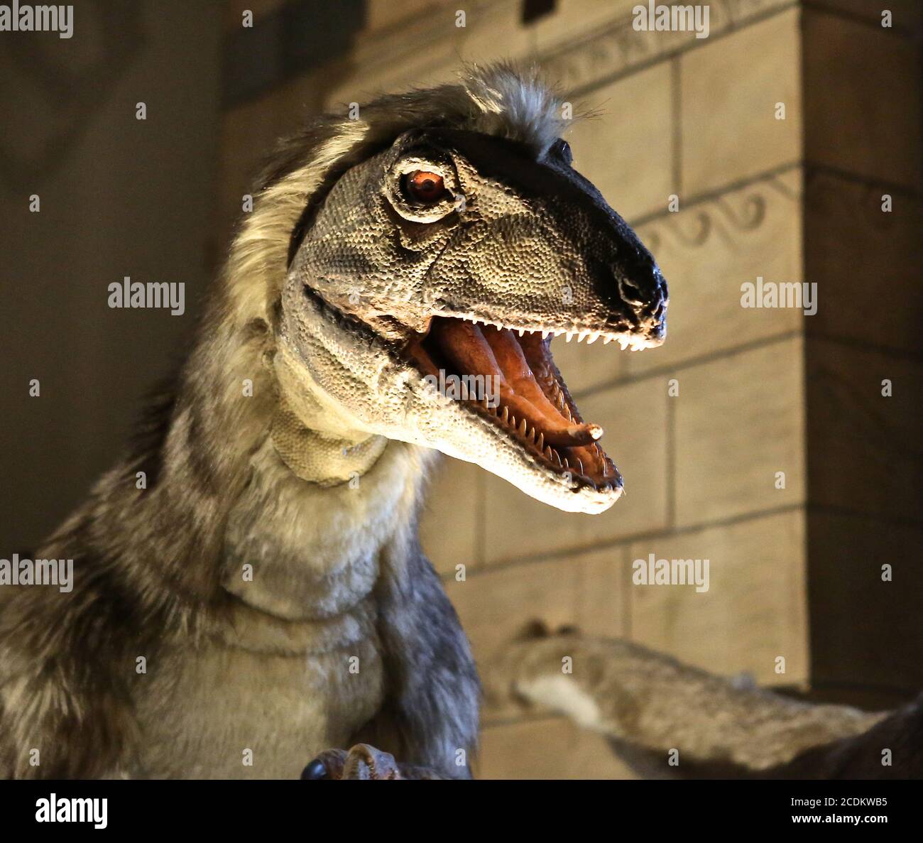 the Museum's dinosaurs are world - famous . Meet the roaring T.rex ...