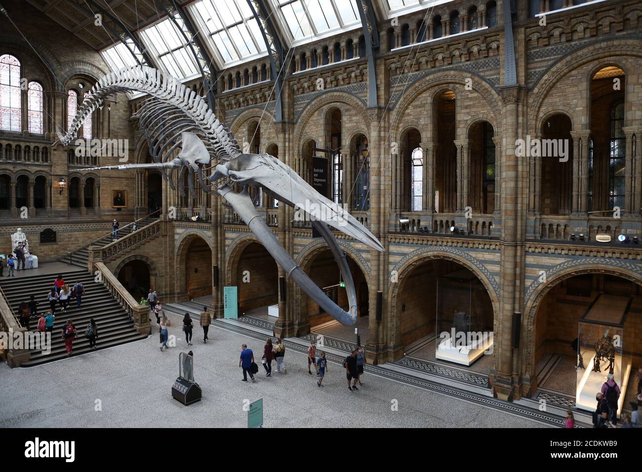 the Museum's dinosaurs are world - famous . Meet the roaring T.rex ...