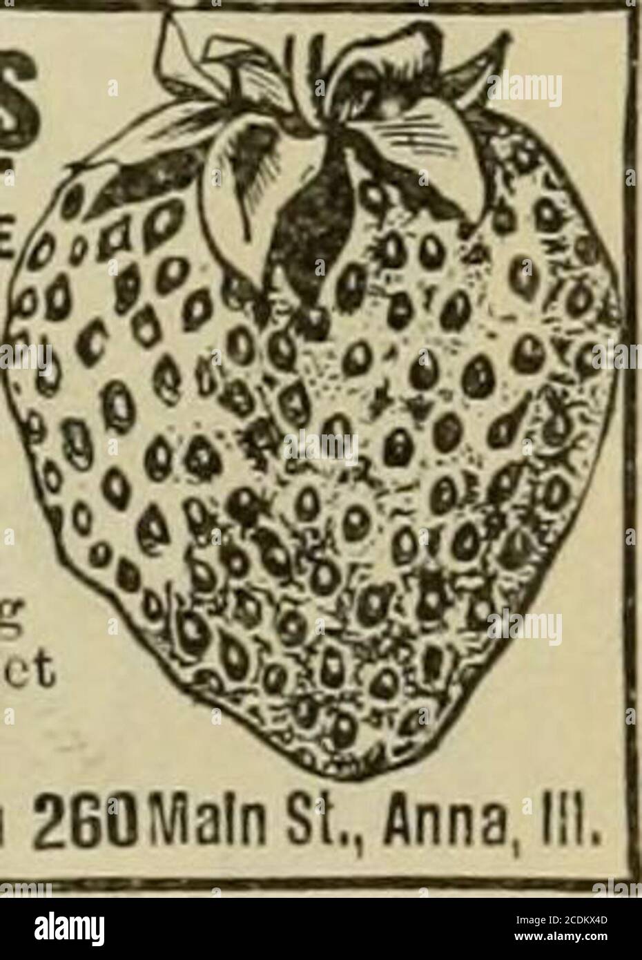 Strawberry seed packet hi-res stock photography and images - Alamy