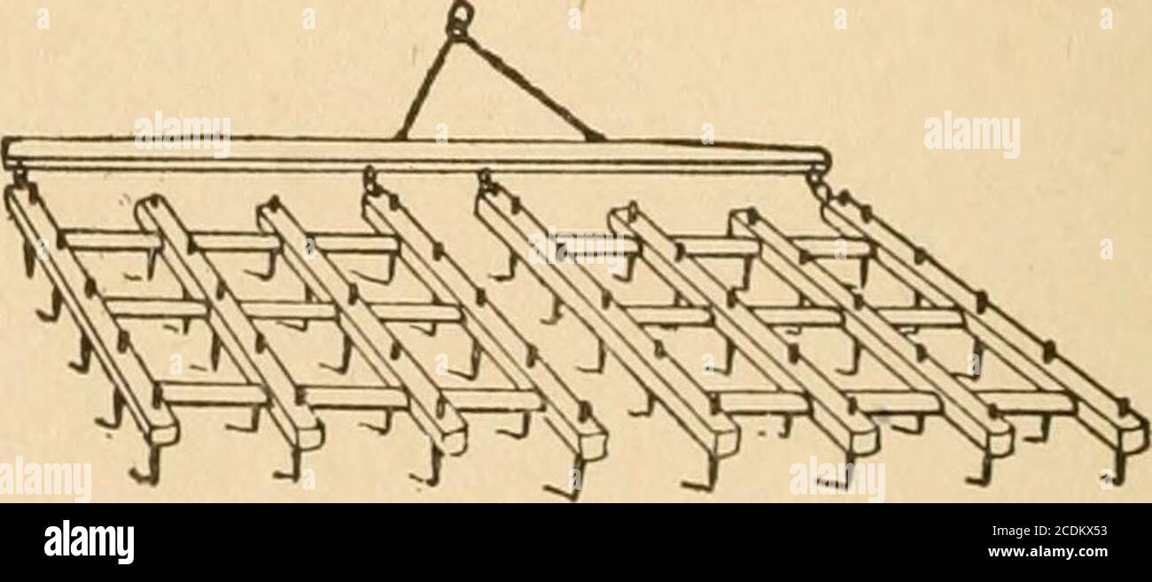 . The open door to independence; making money from the soil; what to do ...