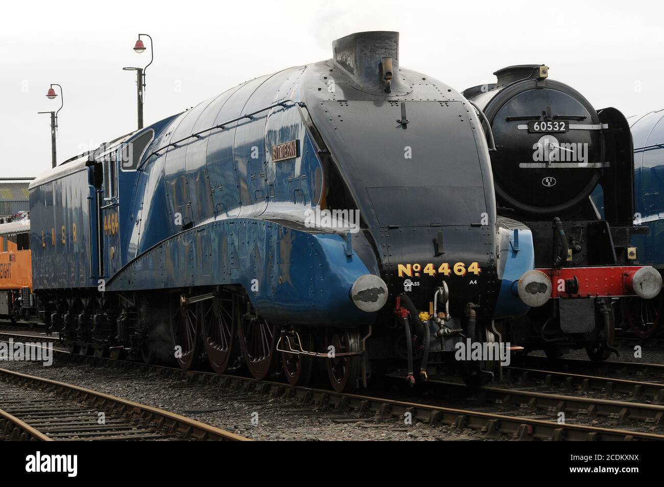 60532 blue peter hi-res stock photography and images - Alamy