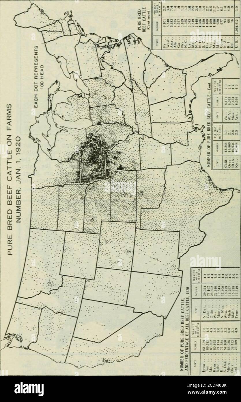 Northwestern bulls hi-res stock photography and images - Alamy