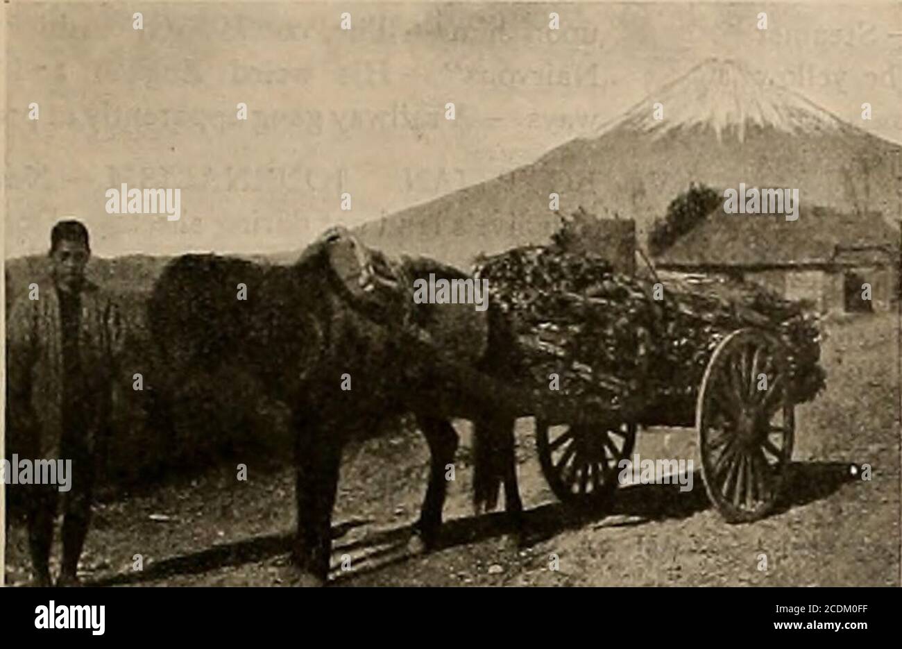 Spinning rode hi-res stock photography and images - Alamy