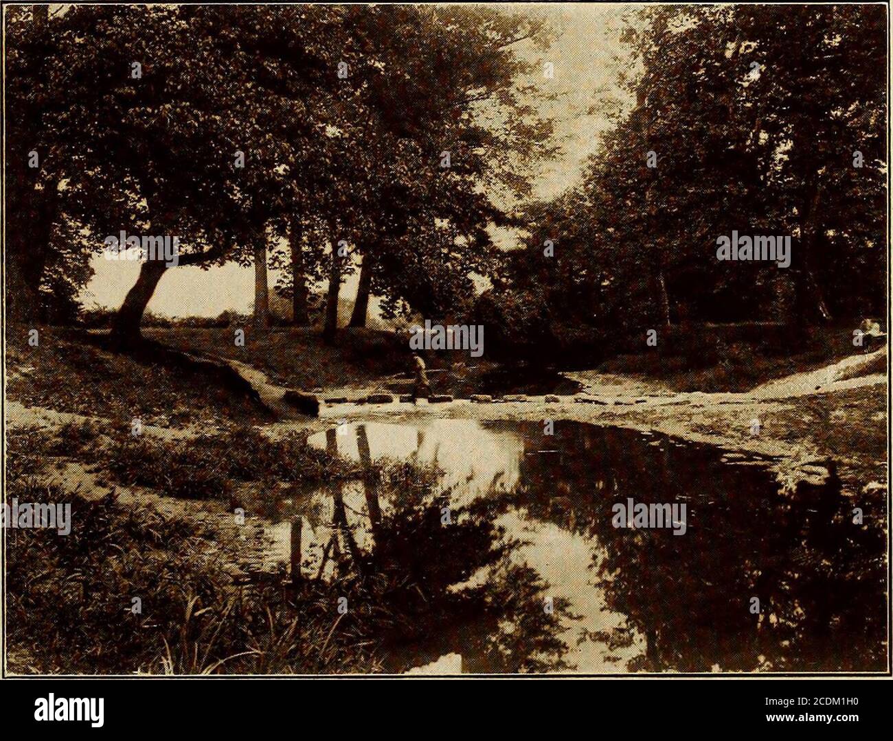 . Drift . Nearby Breathing Places Where—. Weary Students May Rest Their ...