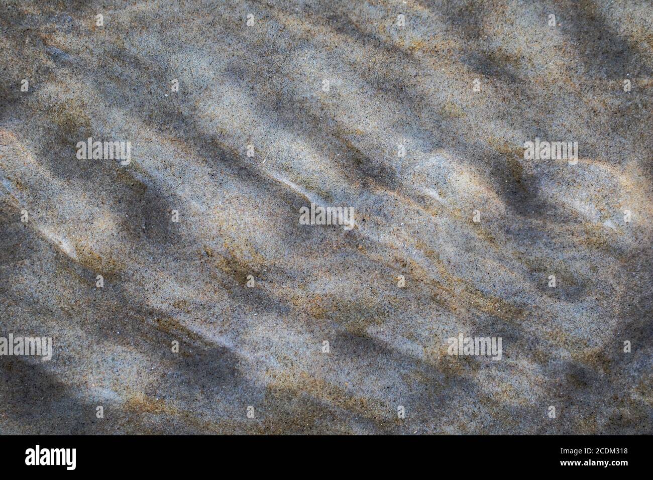 Sand structures at the beach, Netherlands, Texel Stock Photo - Alamy