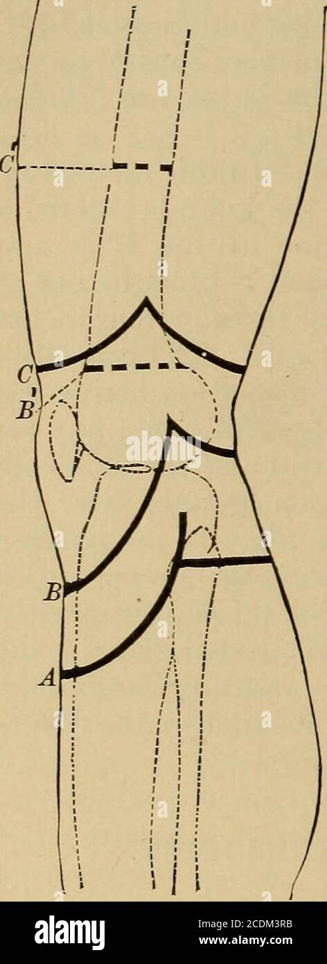 . Minor and operative surgery, including bandaging . ining soft ...