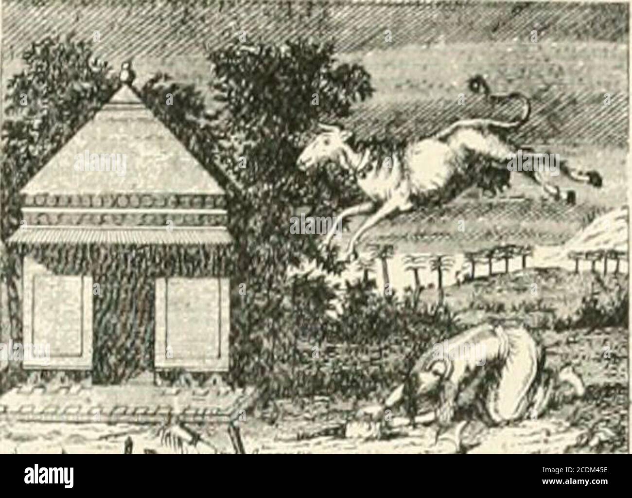 . The history of the devil and the idea of evil; from the earliest ...