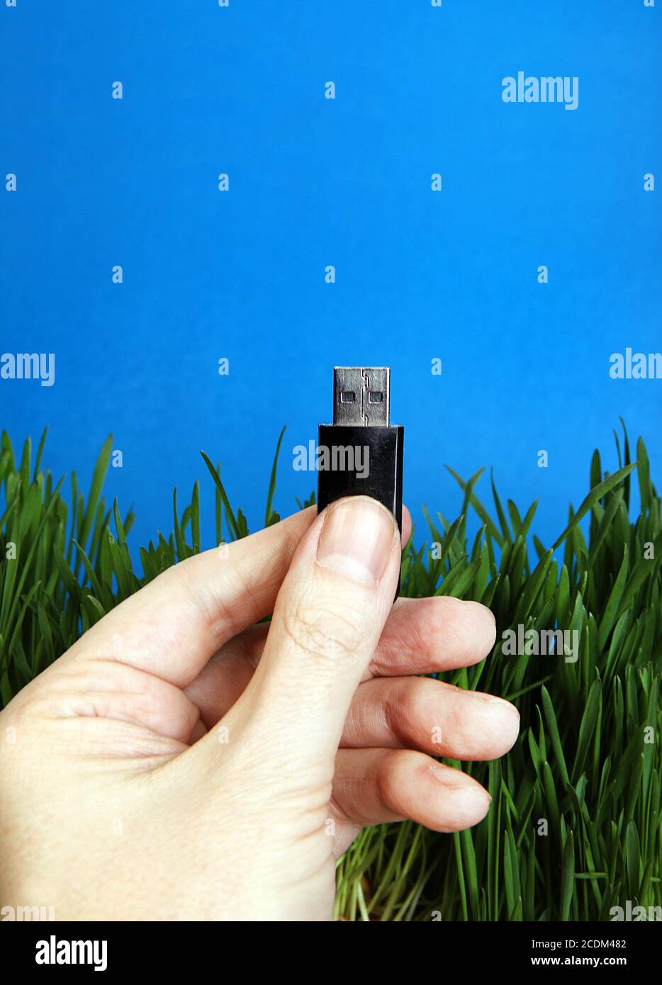 USB drive in a Hand Stock Photo - Alamy