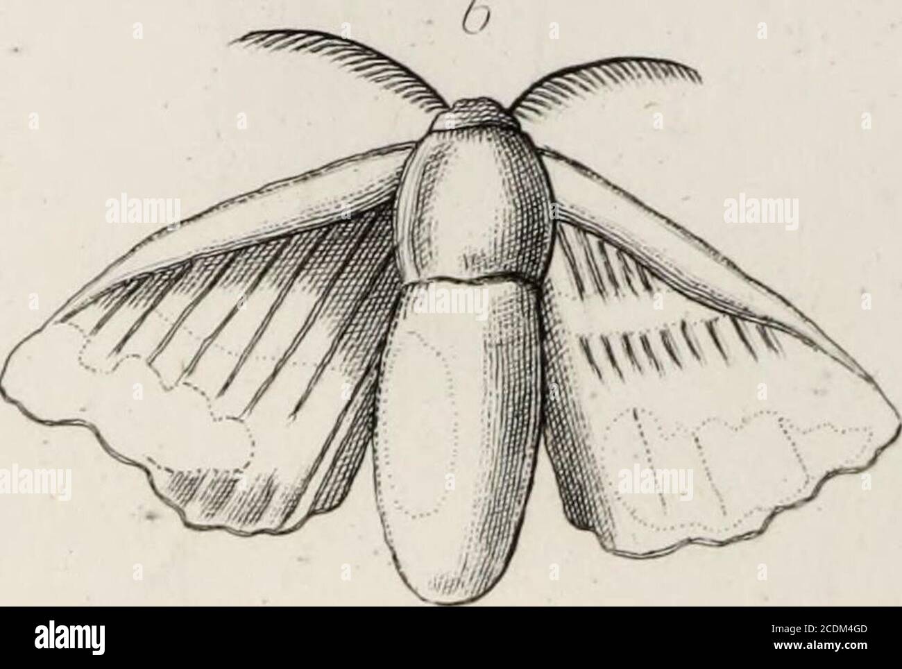 . The textile manufactures of the ancients : embracing the history of ...