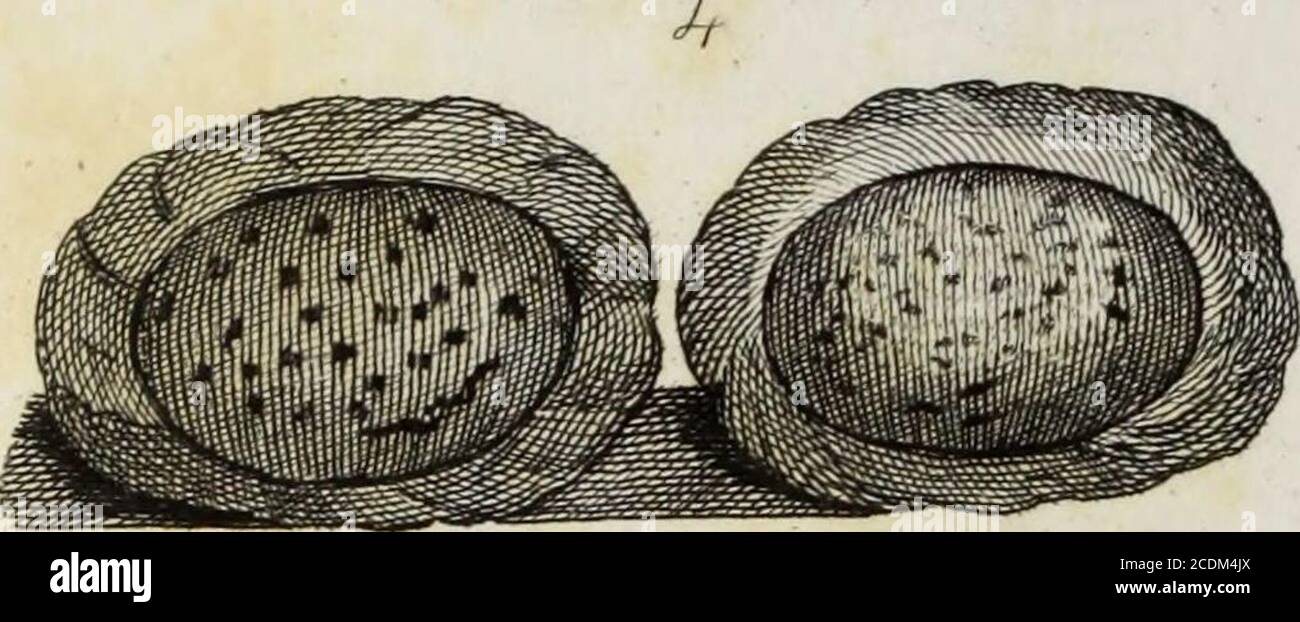 . The textile manufactures of the ancients : embracing the history of ...