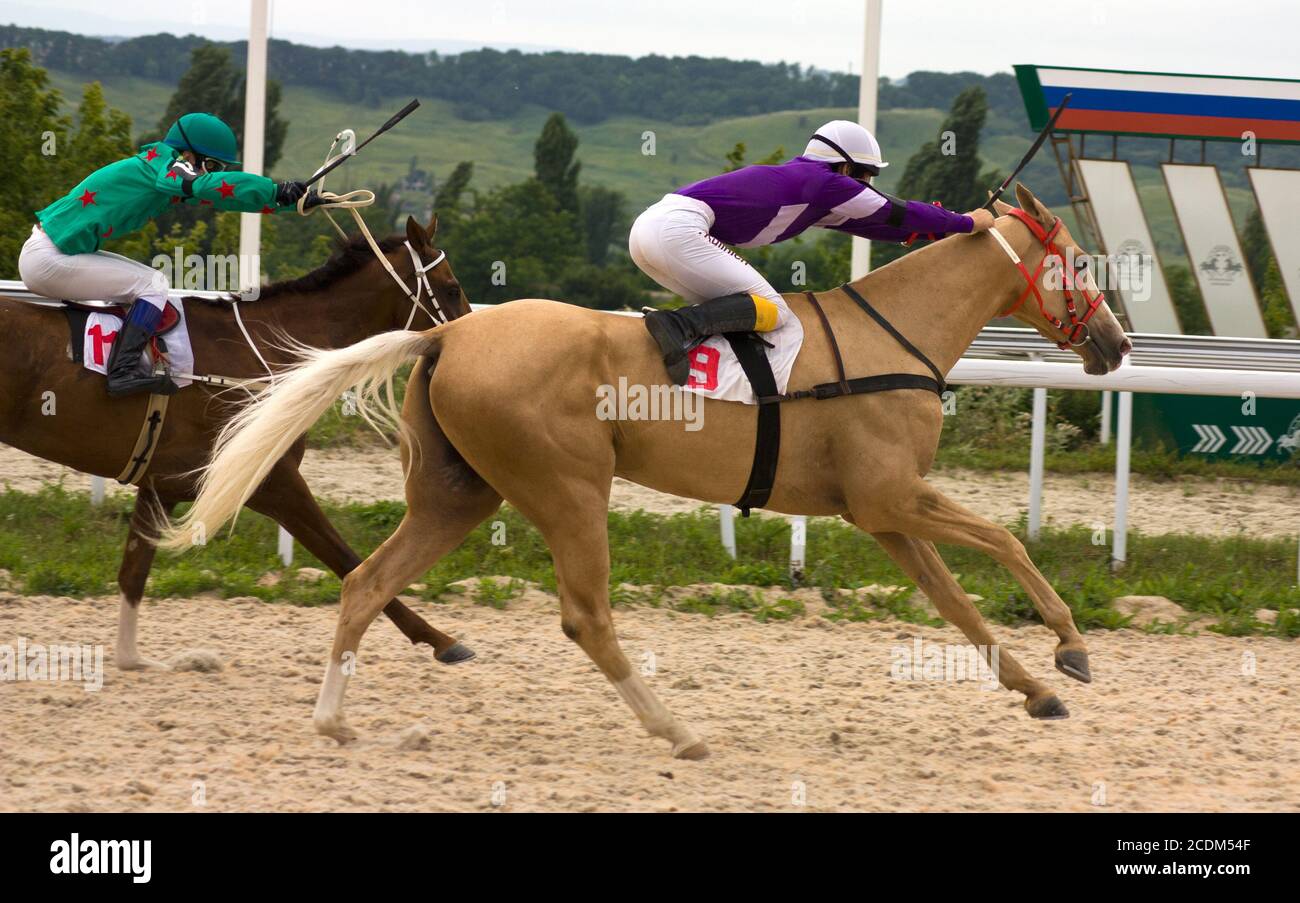 Horse race track finish hi-res stock photography and images - Alamy